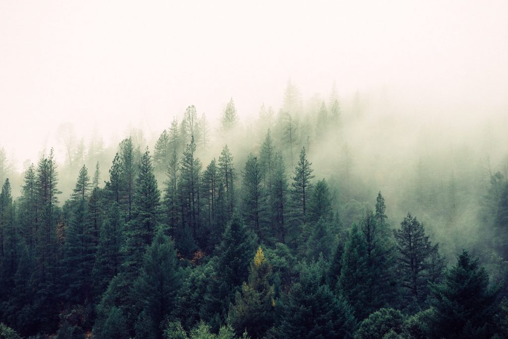 Call For Abstracts 9th Annual Northwest Climate Conference Freshwater Initiative call-for-abstracts-9th-annual-northwest-climate-conference-freshwater-initiative