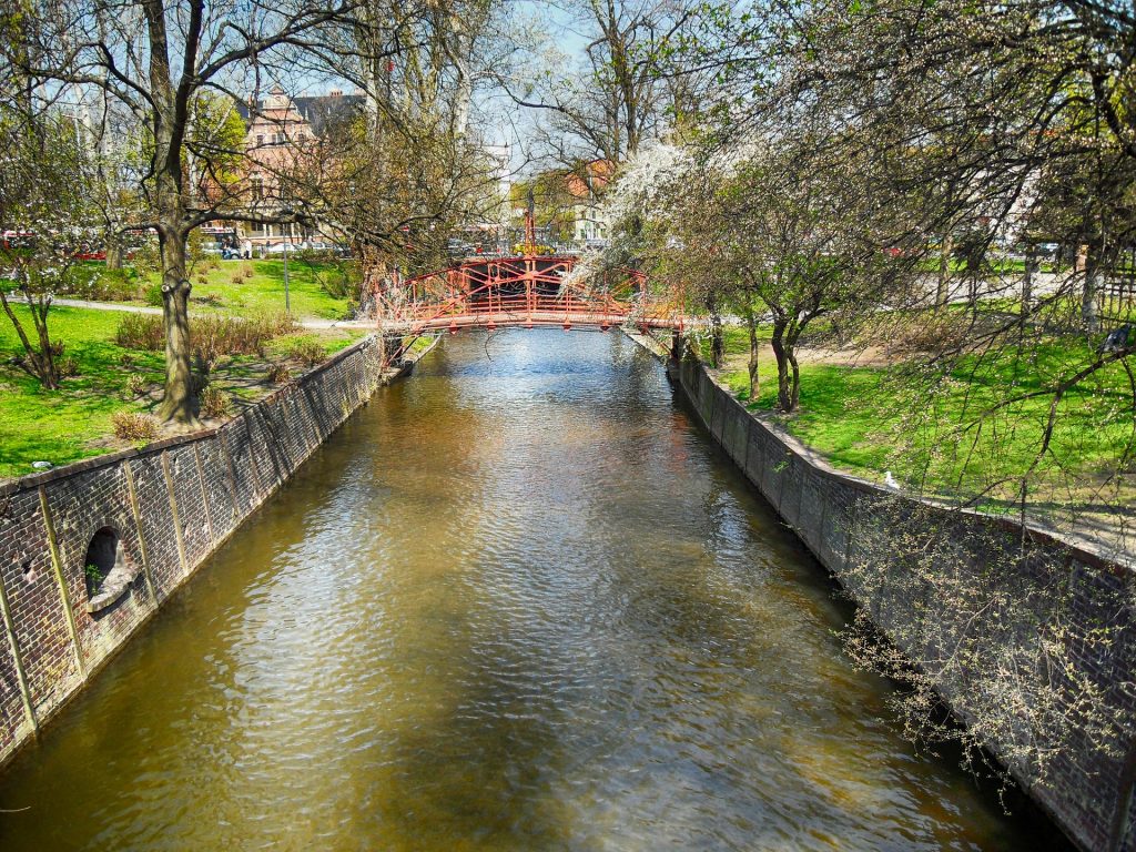 Diagnosing Urban Stream Syndrome | Freshwater Initiative