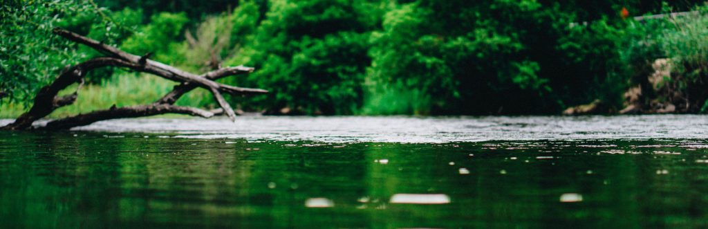 Mission | Freshwater Initiative