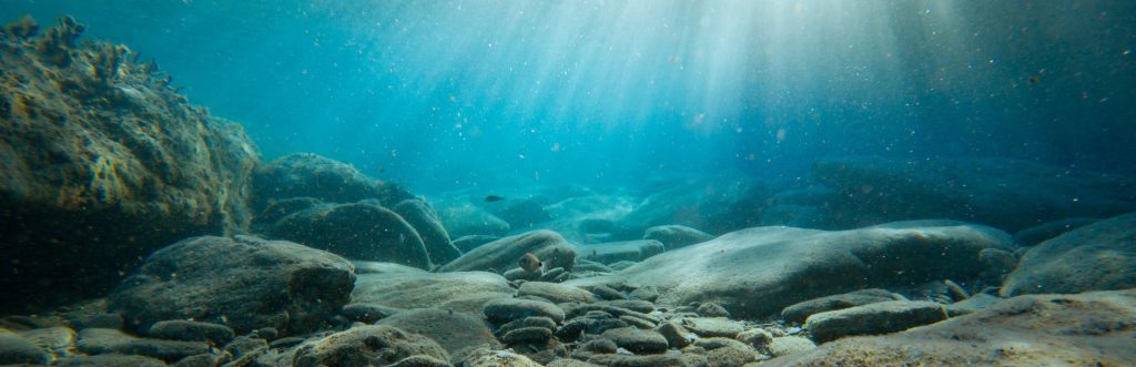 Connect | Freshwater Initiative