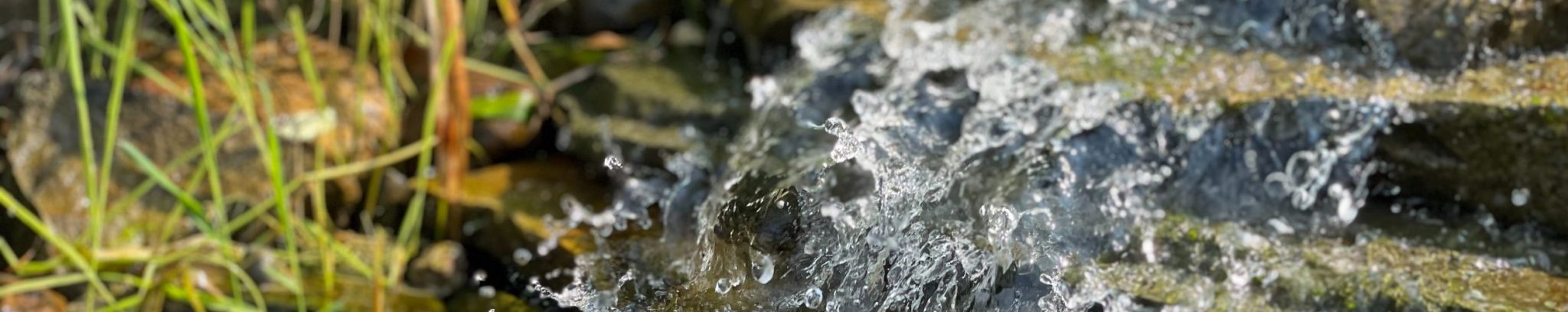 Students | Freshwater Initiative