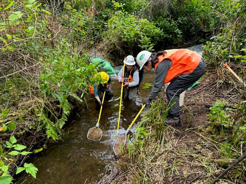 Dispatches from the field | Freshwater Initiative